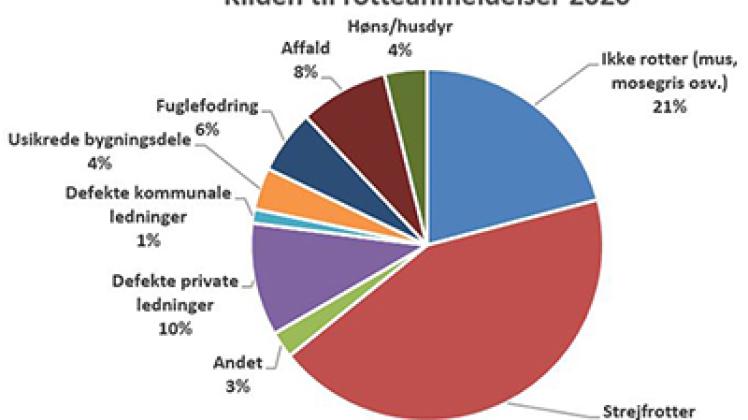 Anmeld rotter | Rudersdal Kommune